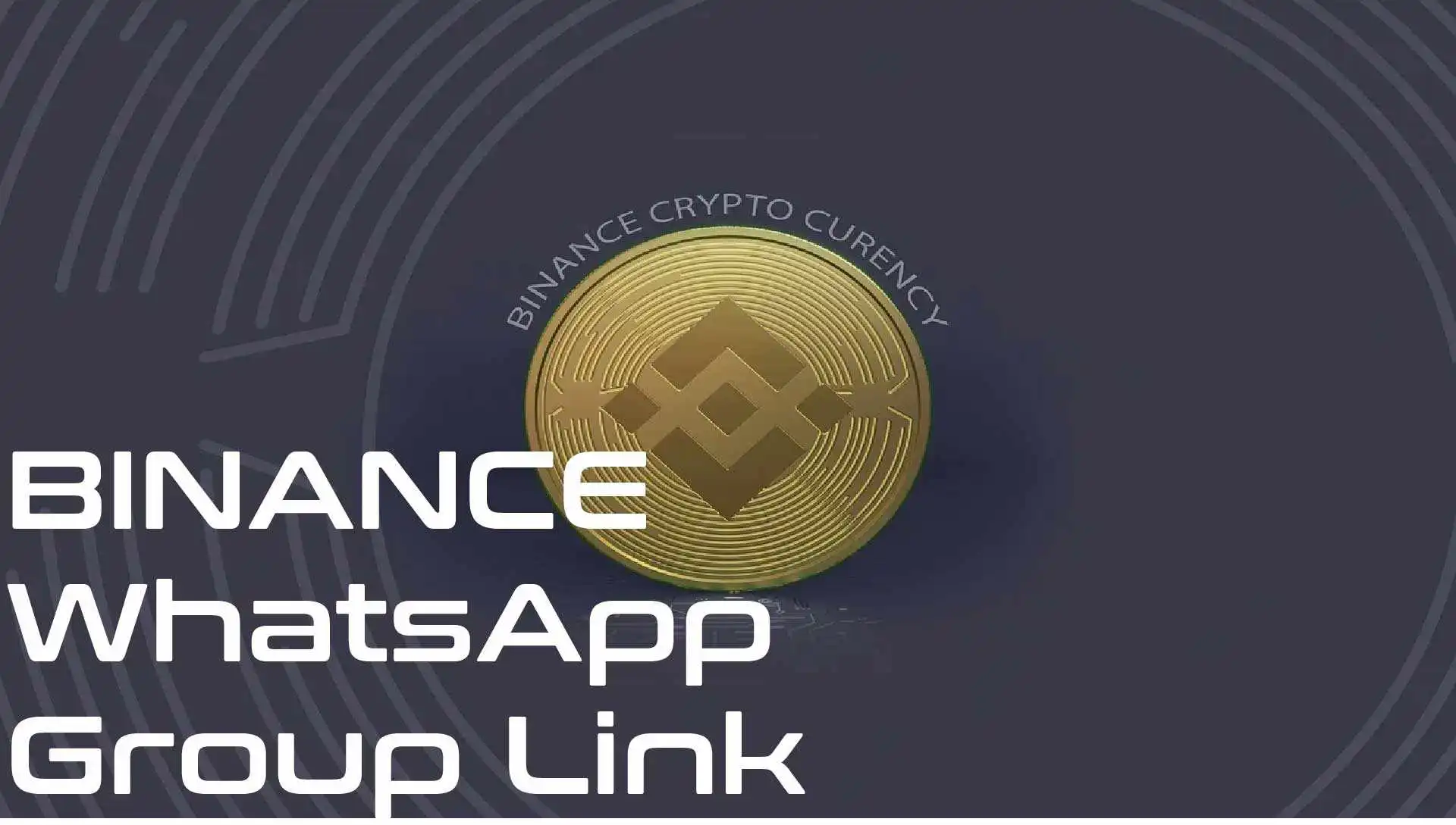 Free 1100+ Binance WhatsApp group link